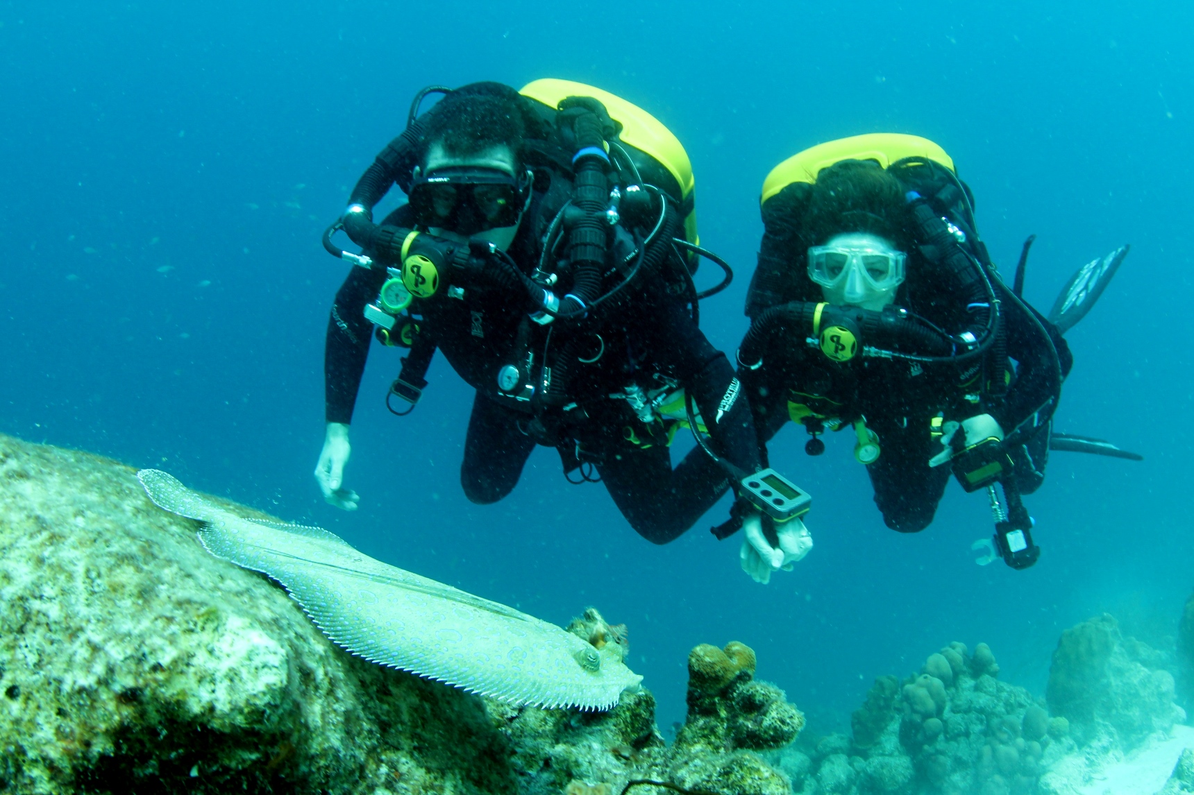 My latest adventure - entering the world as a silent diver - Part IV ...
