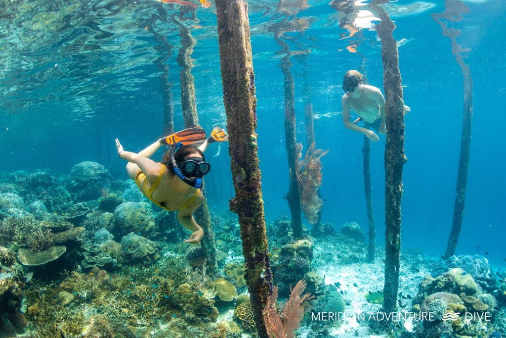 Meridian Adventure Dive Resort - Deep Blue Adventures