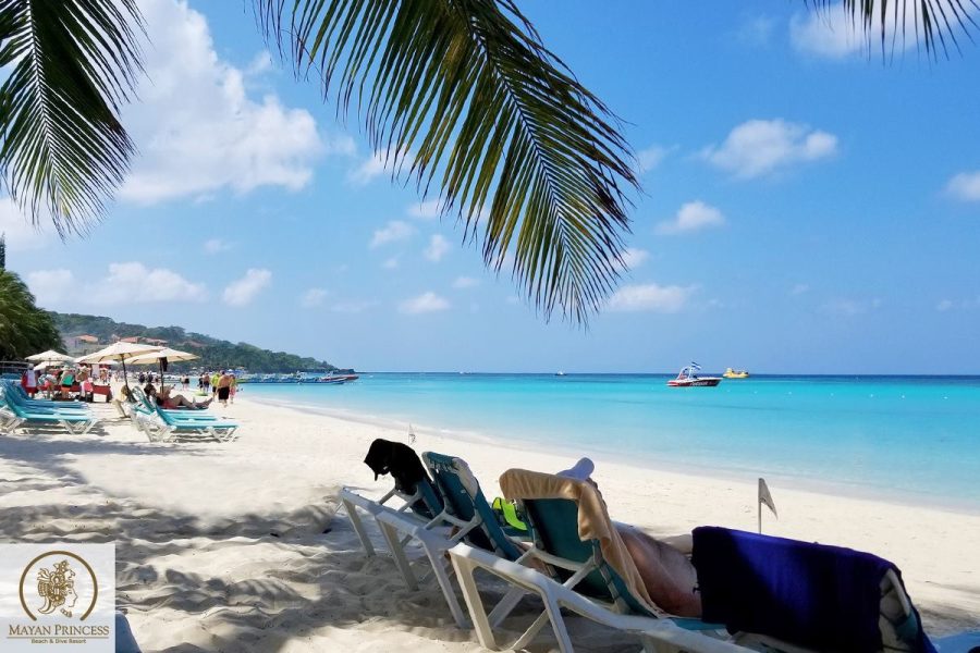 Mayan Princess Beach & Dive Resort Weekly Dive Package Deal - Deep Blue ...