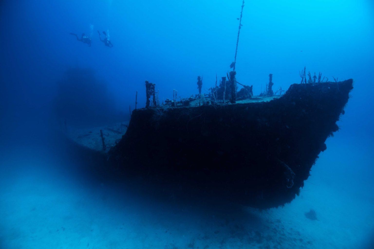 Utila Lodge - Deep Blue Adventures