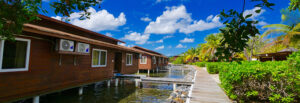 CoCo View Resort - Deep Blue Adventures
