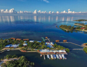 CoCo View Resort - Deep Blue Adventures