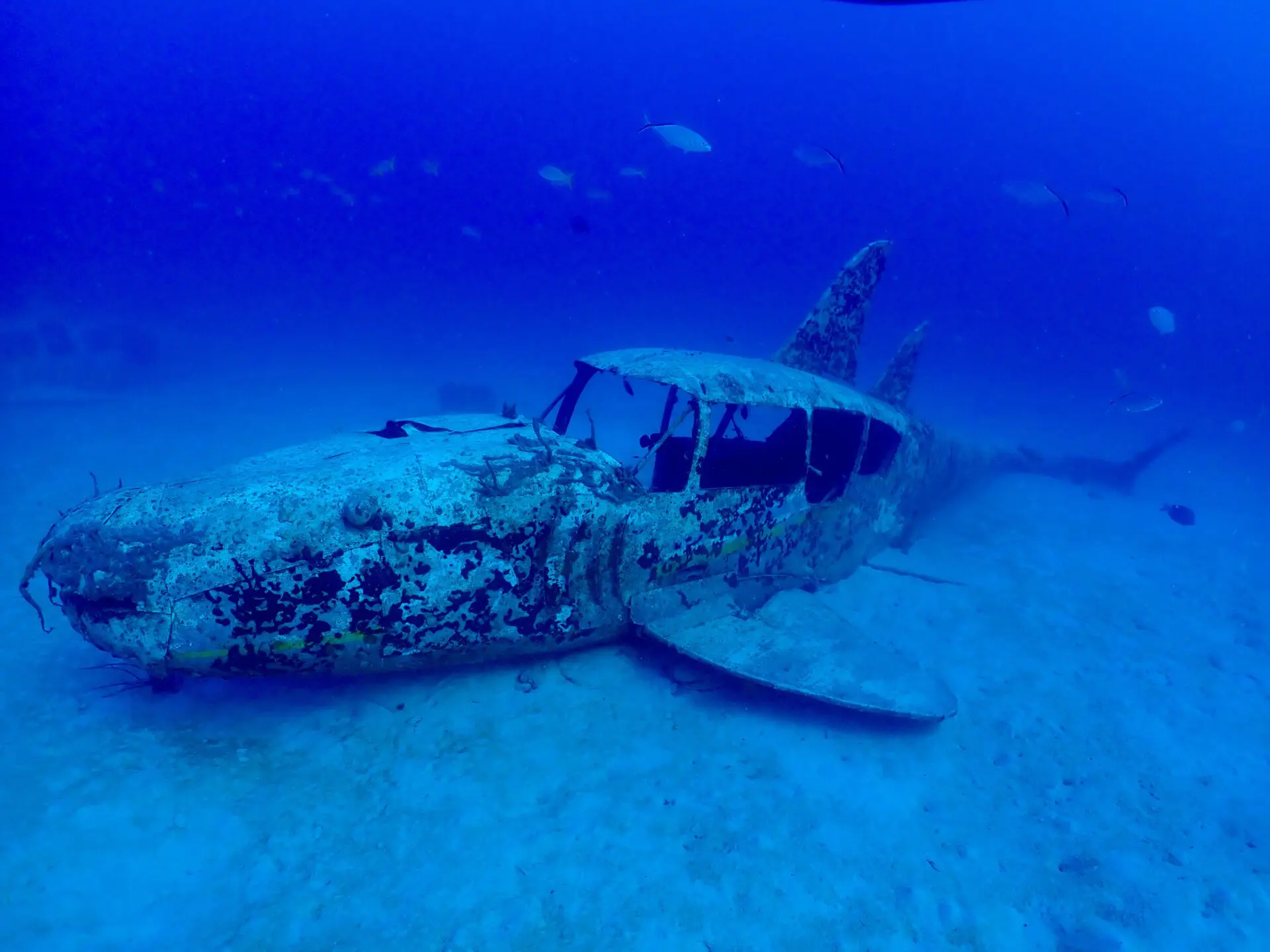 Dive BVI and Guavaberry Spring Bay Homes - Stay and Dive! - Deep Blue ...