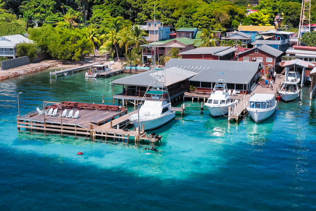 Utila Lodge 7-Night All-Inclusive Package - Deep Blue Adventures